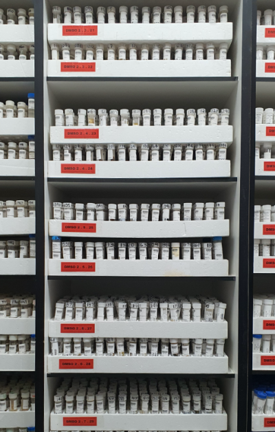 Home - Biodiversity Biobanks SA