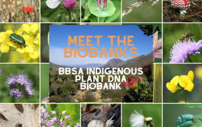 Meet The BioBanks - Biodiversity Biobanks SA