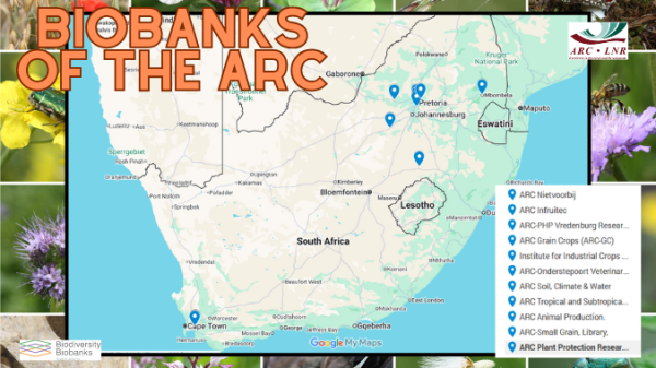 Agricultural Research Council Biobanks: Science To Feed A Nation ...
